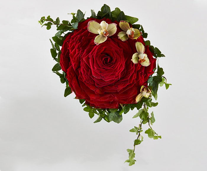 Syet rose i rød - Send blomster med Bloomit Rød ∙ 3000.00 DKK